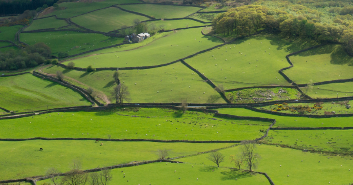 Farming and Land-based Sector Information | Cumbria Growth Hub