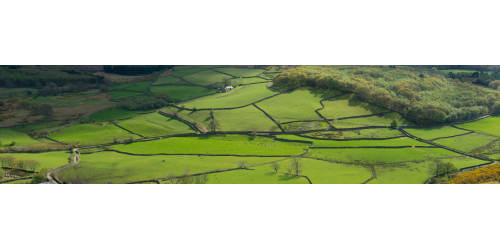 Farming and Land-based Sector Information | Cumbria Growth Hub
